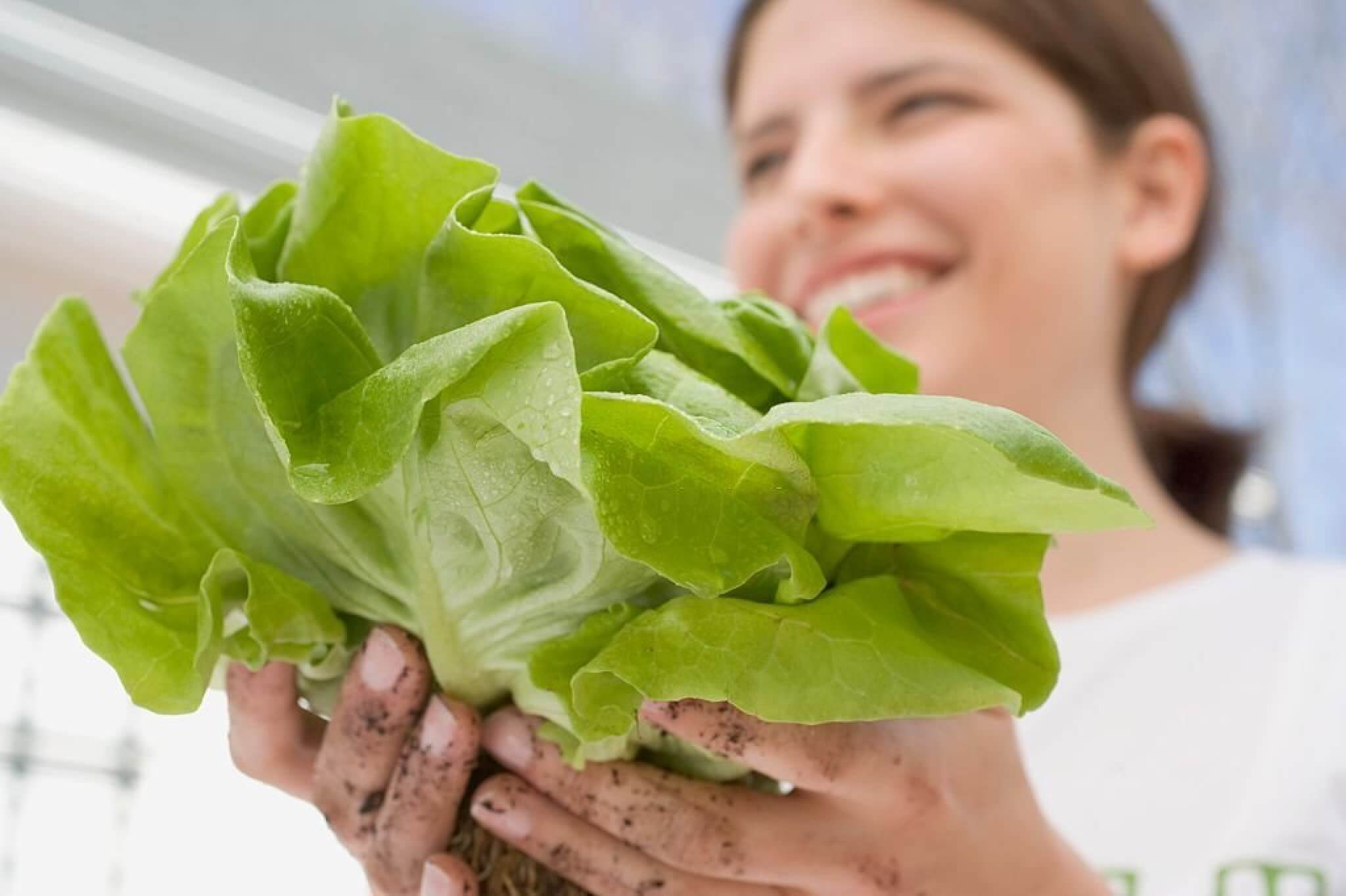 🥗How Long Does Lettuce Last: A Detailed Guide