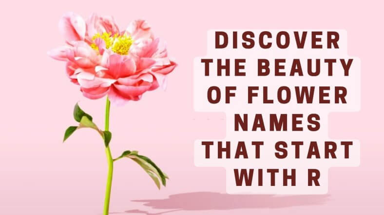 🌺Discover the Beauty of Flowers that Start with R