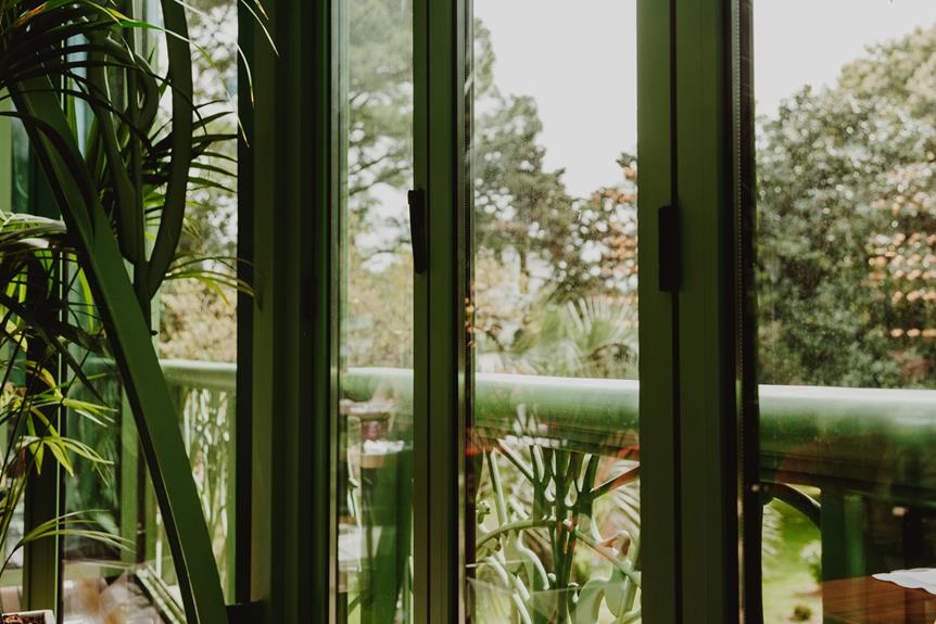 Discover the Perfect Houseplants for East-Facing Windows